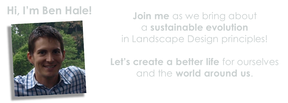 Hi Im Ben Hale | Easy Living Yards