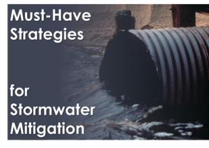 Must-Have Strategies for Stormwater Mitigation | Easy Living Yards