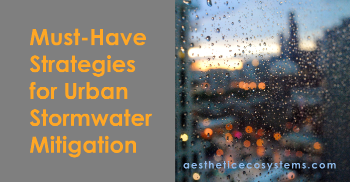 Urban Stormwater Mitigation Strategies | Easy Living Yards