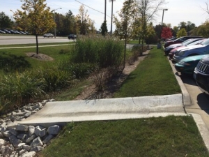 Curb Cut Stormwater Runoff | Easy Living Yards