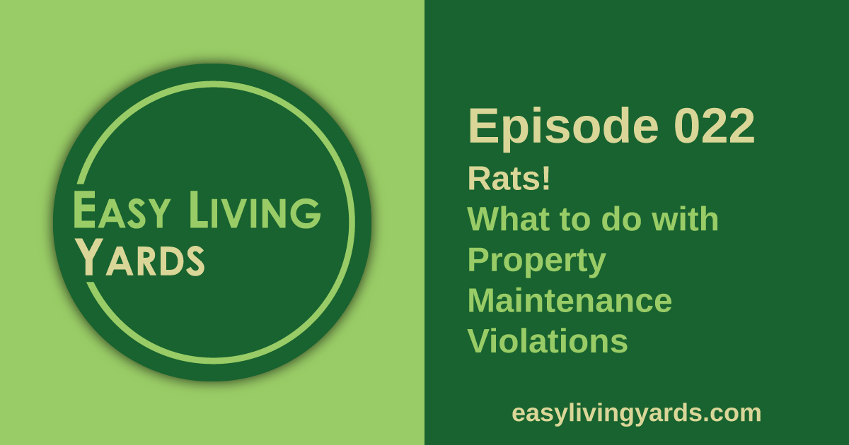 ELY 022-I got busted! Property maintenance violations and what to do ...
