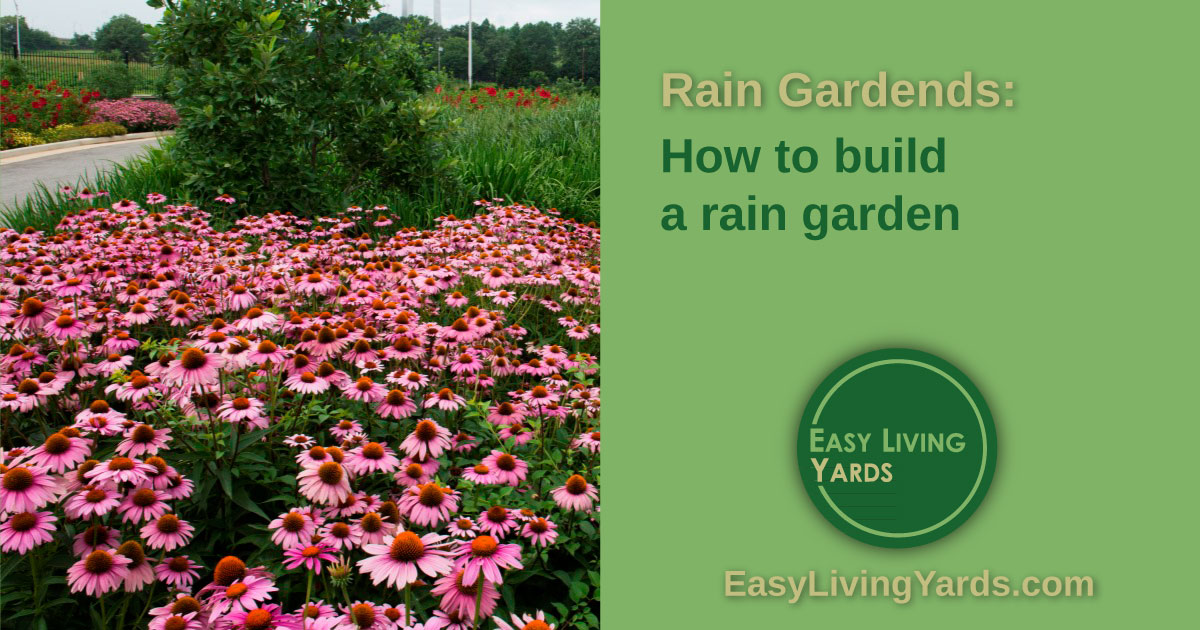 ELY077-Rain-Gardens | Easy Living Yards